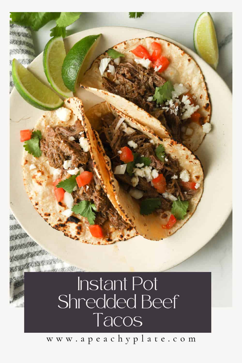 Instant Pot Oxtail Beef Pho (Pho Duoi Bo) - A Peachy Plate