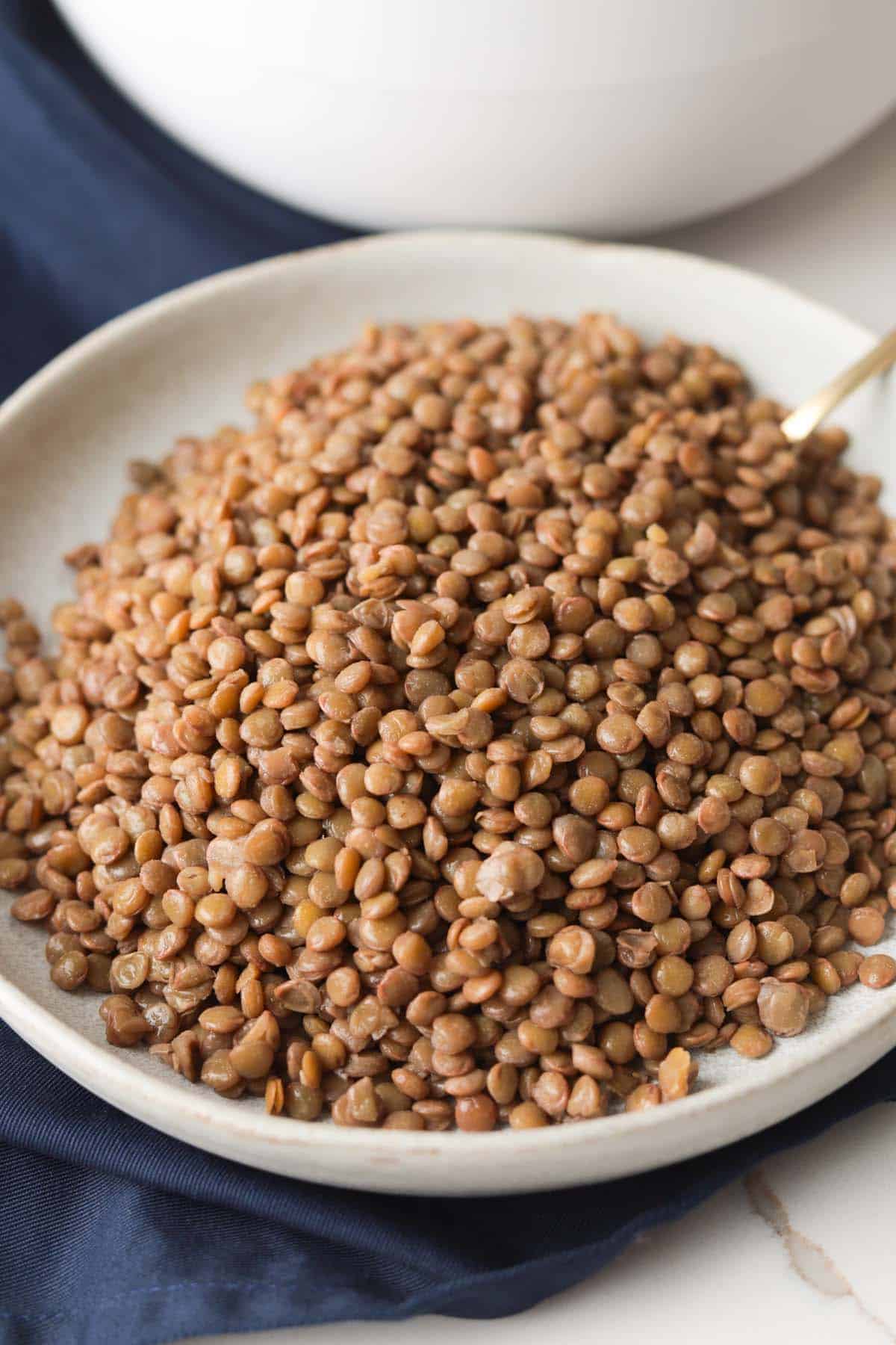 How to Cook Lentils in a Rice cooker - A Peachy Plate