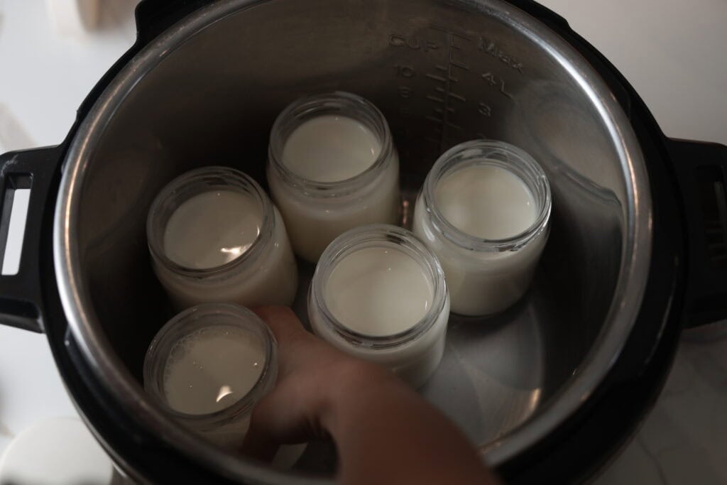 Easy Authentic Vietnamese Yogurt - A Peachy Plate